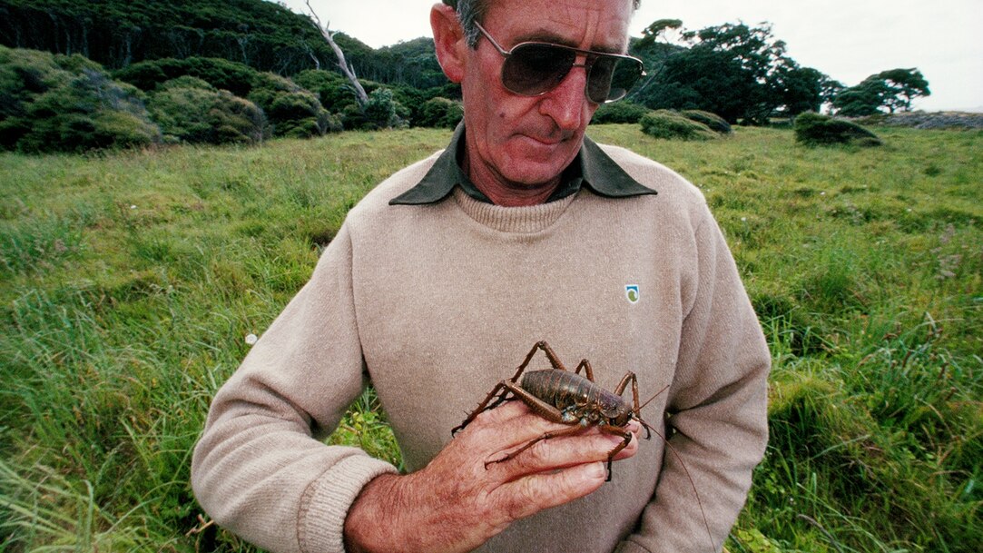 Major Physical Landforms Of New Zealand Glacial Geomorphology Of The
