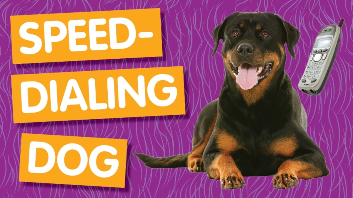 Amazing Animals: Speed-Dialing Dog | National Geographic Kids