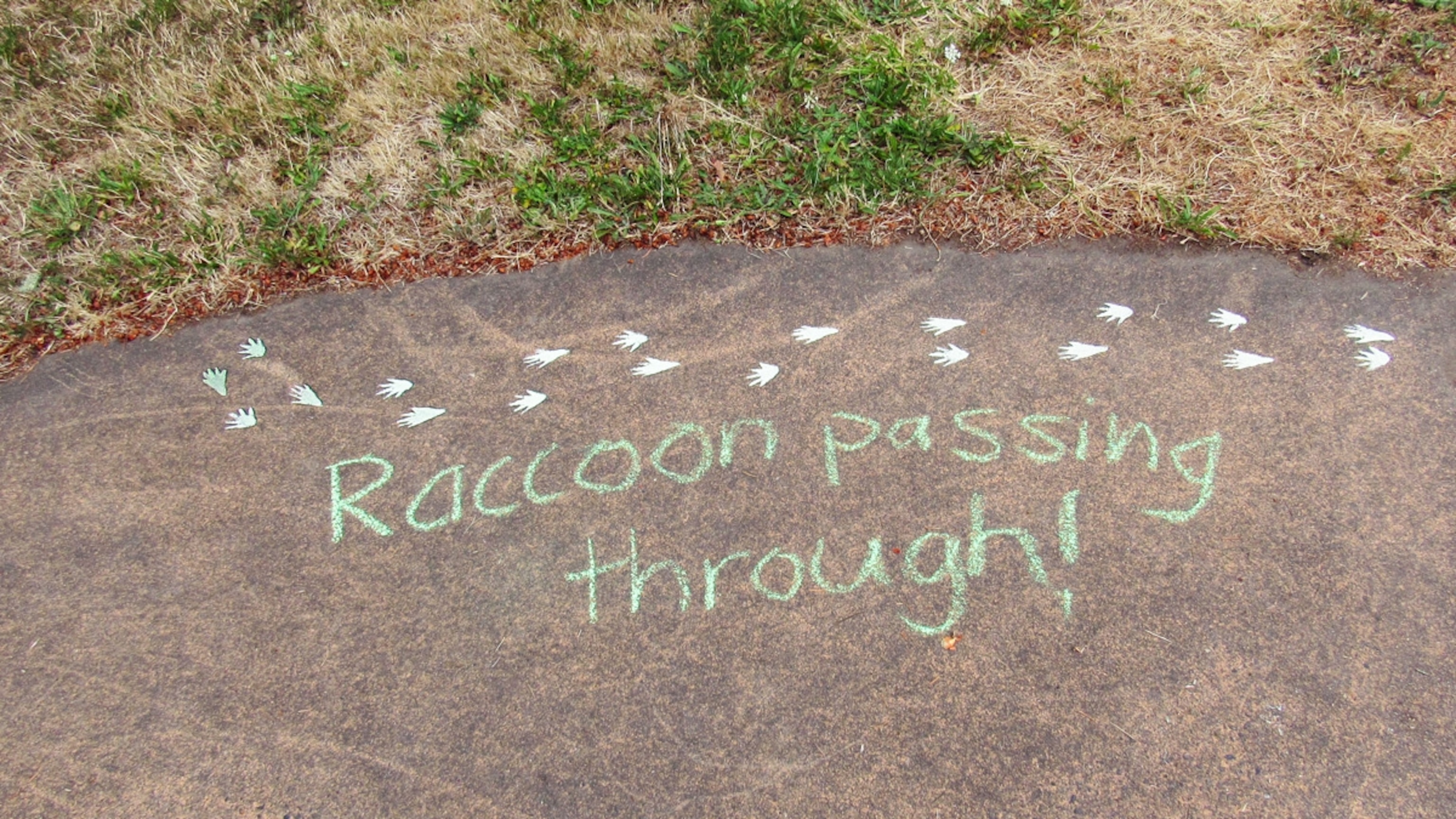 Nat Geo Family Camp: Make animal tracks