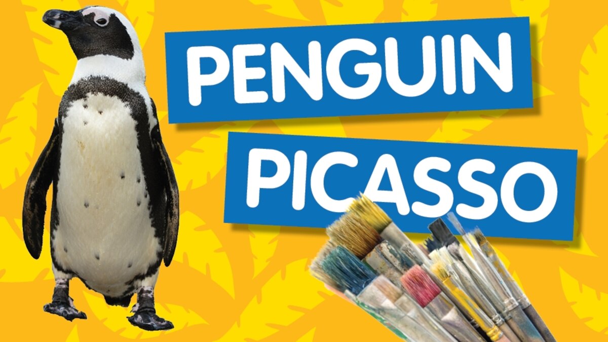 Amazing Animals: Penguin Picasso | National Geographic Kids