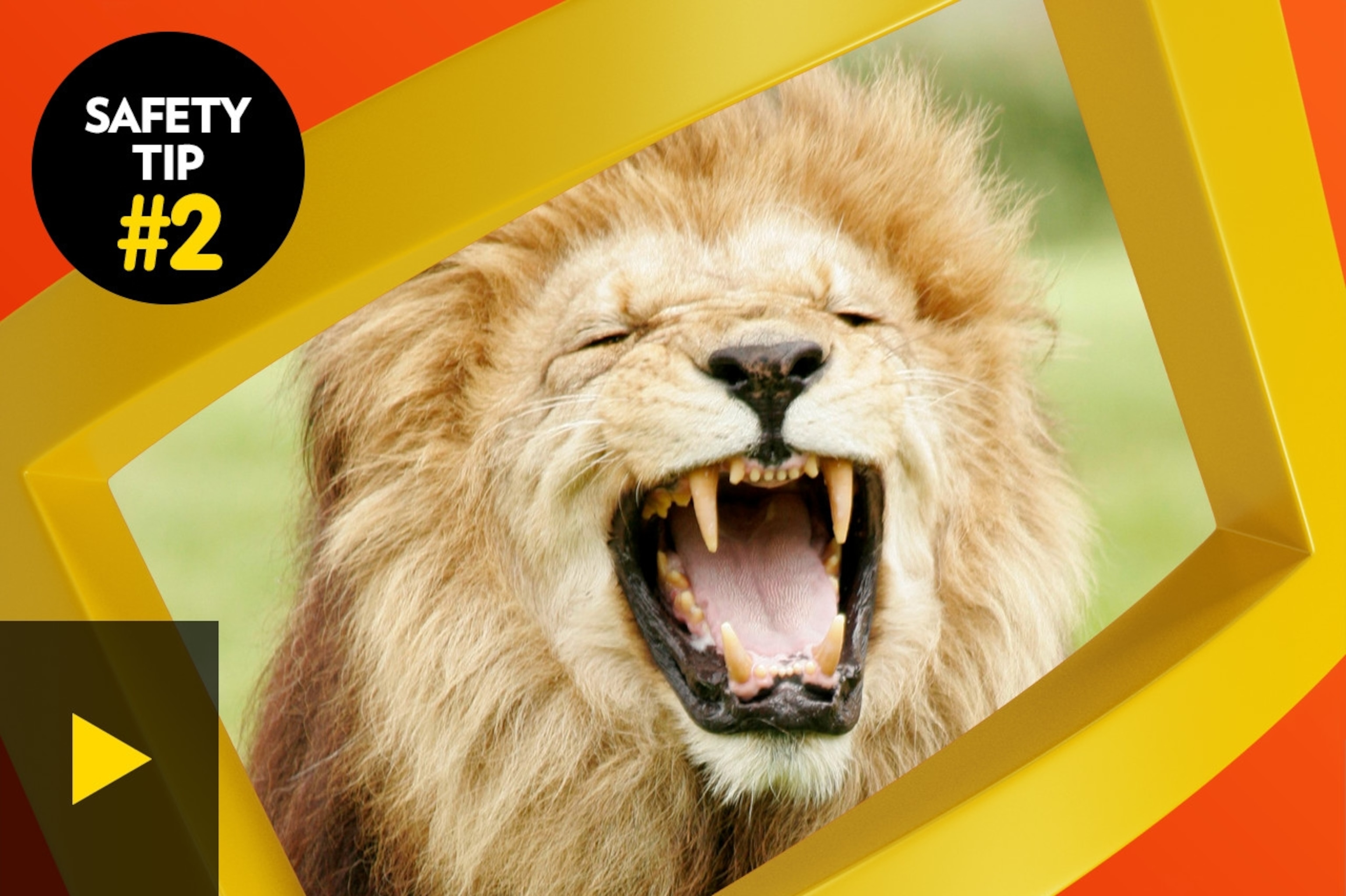 5 Tips for Safe Family Video Viewing