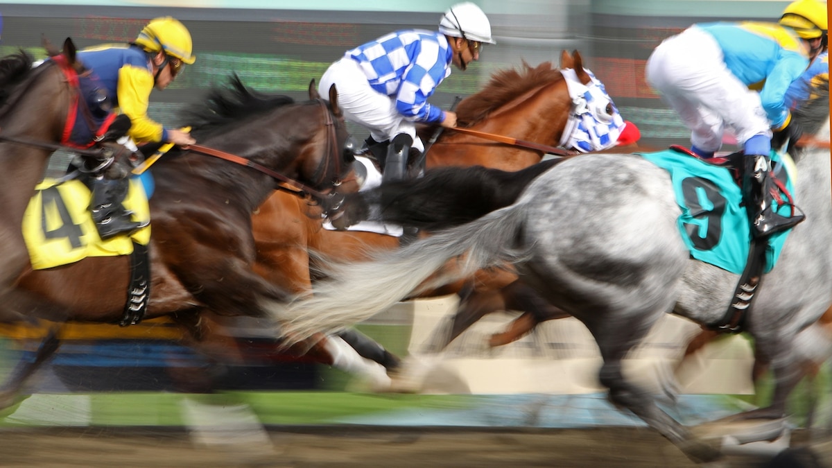 Kentucky Pictures and Facts