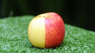 Wacky Weekend: "Ugly" Foods | National Geographic Kids