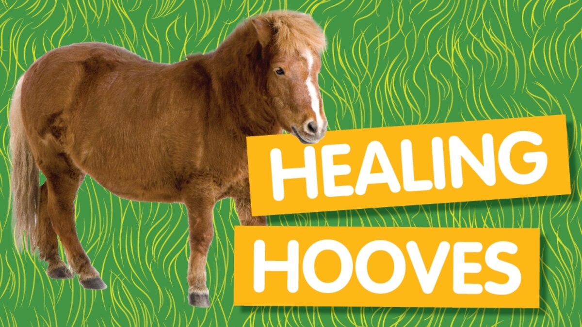 Amazing Animals: Healing Hooves | National Geographic Kids