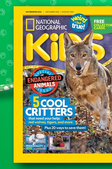 Magazine sneak peek December 2023