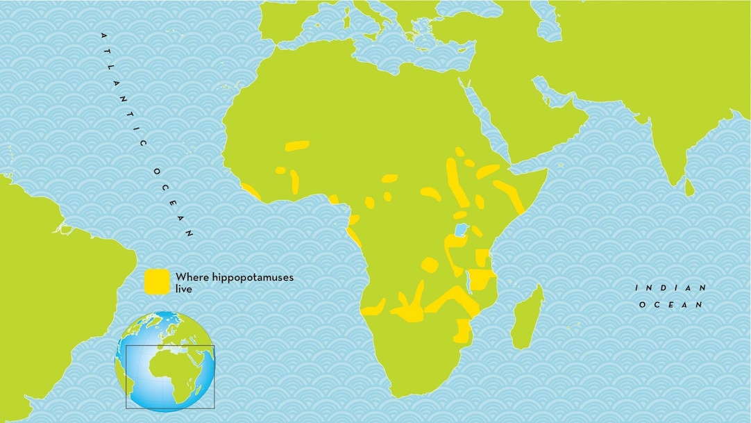Hippos Map