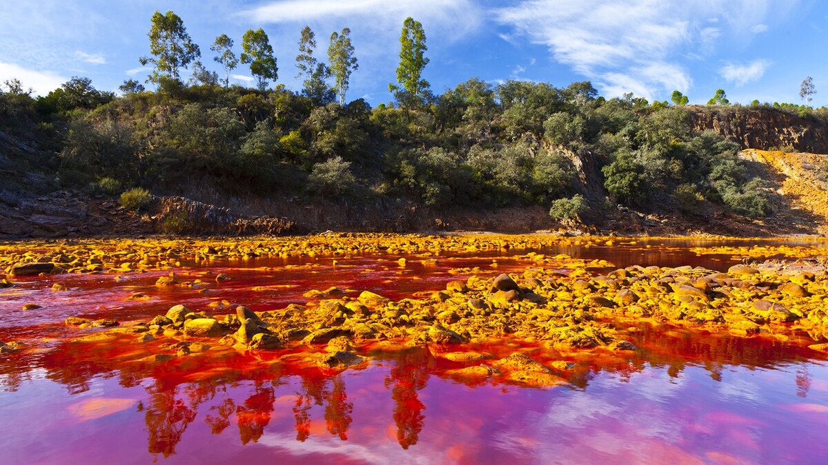 Wacky Weekend: Weird Waters | National Geographic Kids