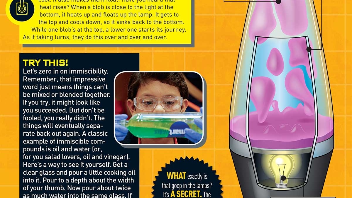 How Things Work | National Geographic Kids