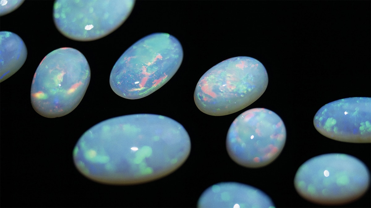 Opal | National Geographic Kids Opal | National Geographic Kids