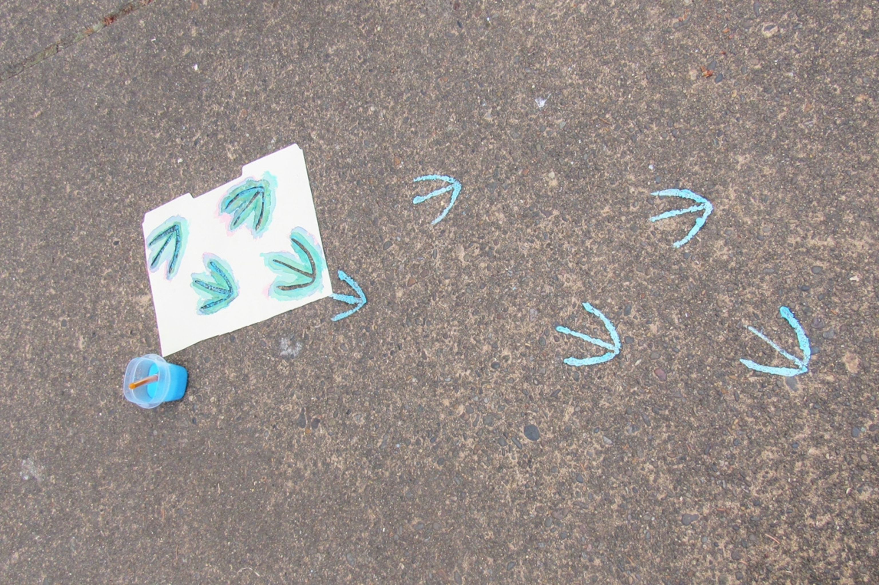 Nat Geo Family Camp: Make animal tracks