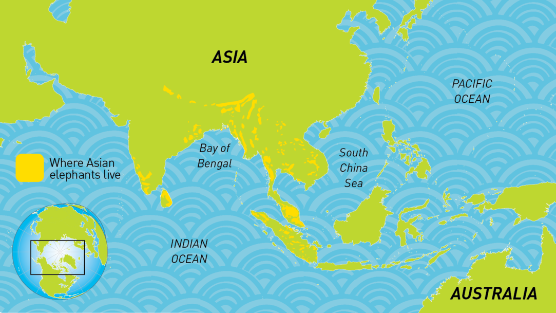 Asian Elephant Map