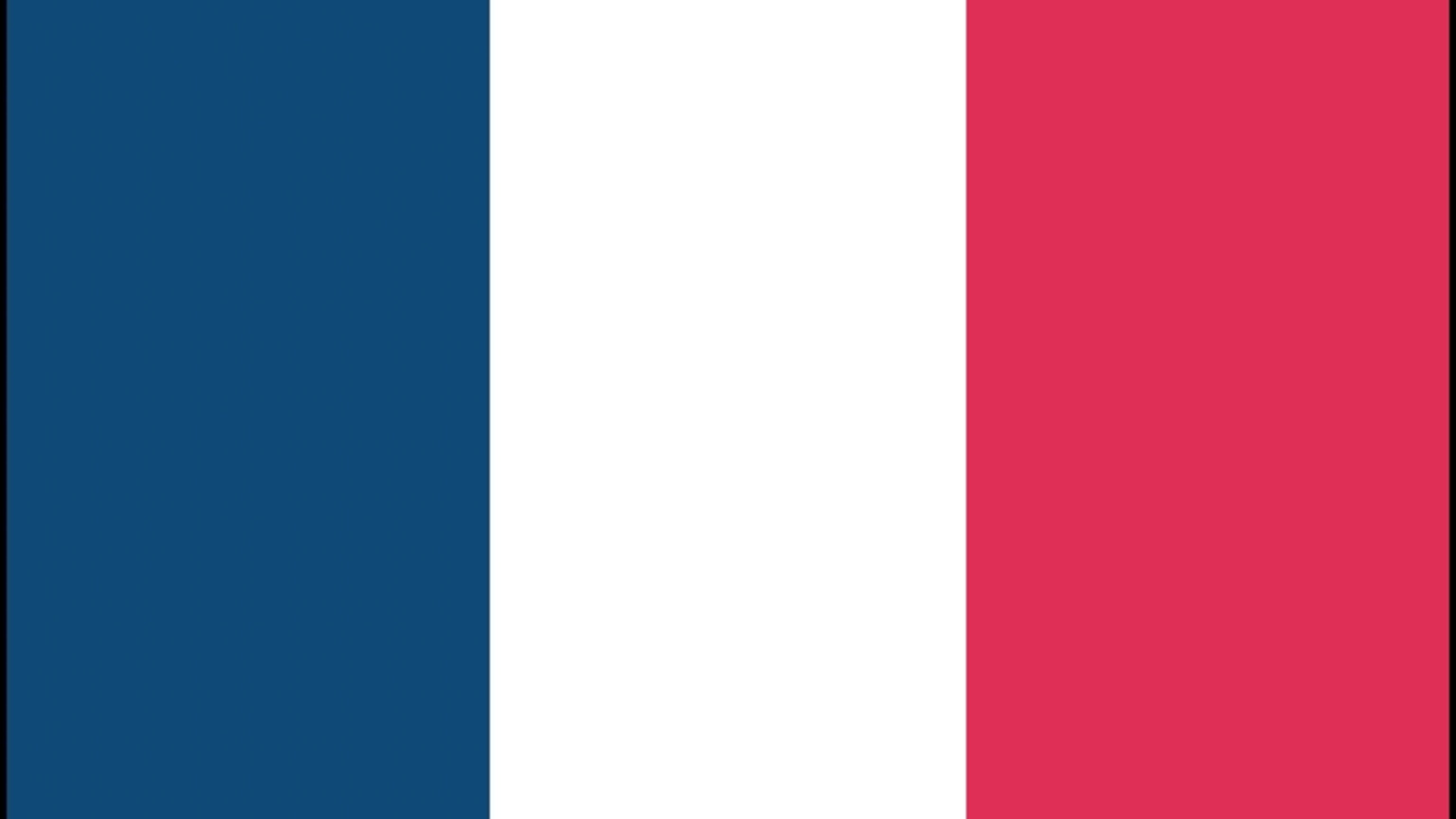 Current French Flag