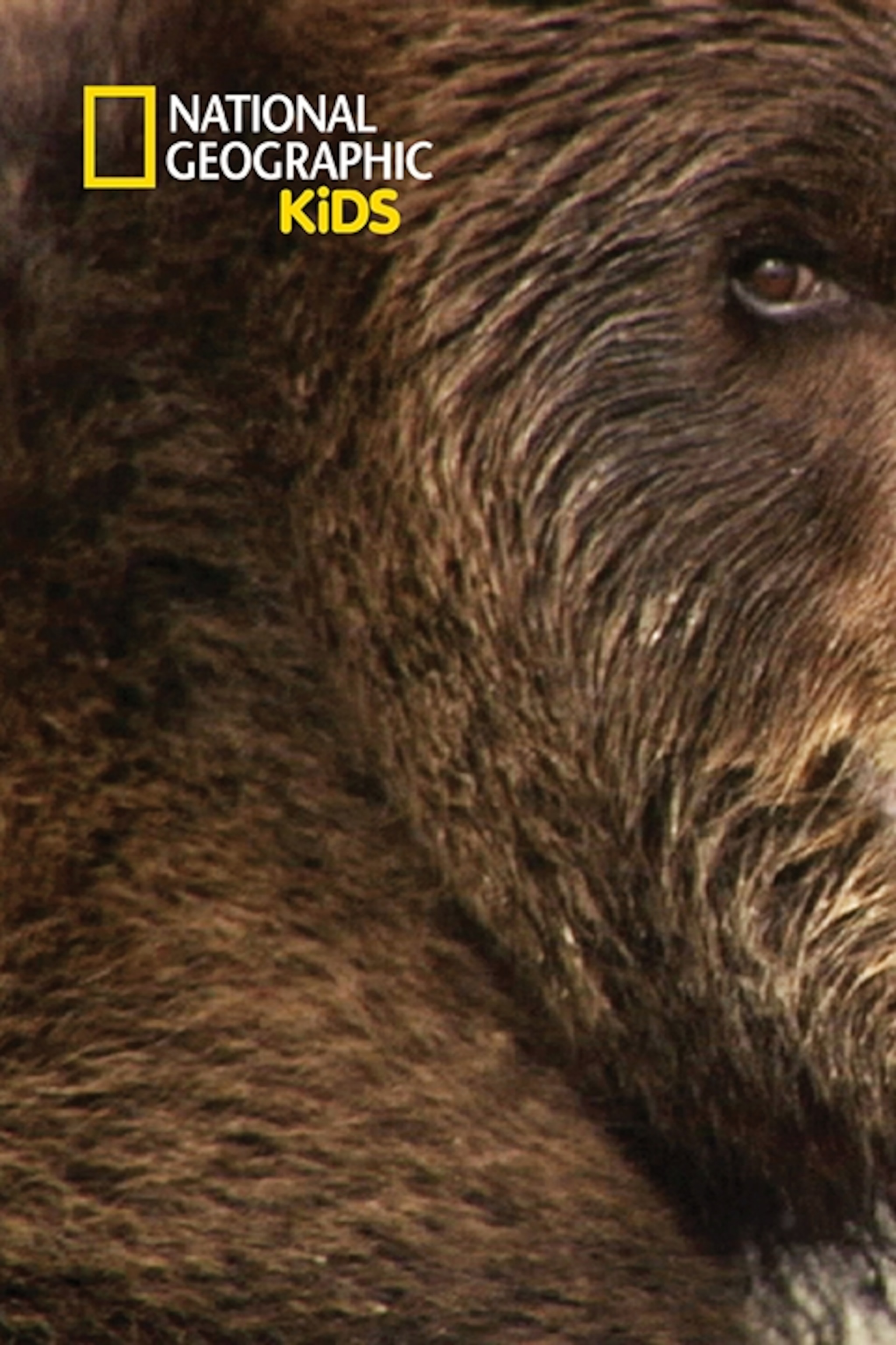Grizzly Bear Facts National Geographic - Infoupdate.org