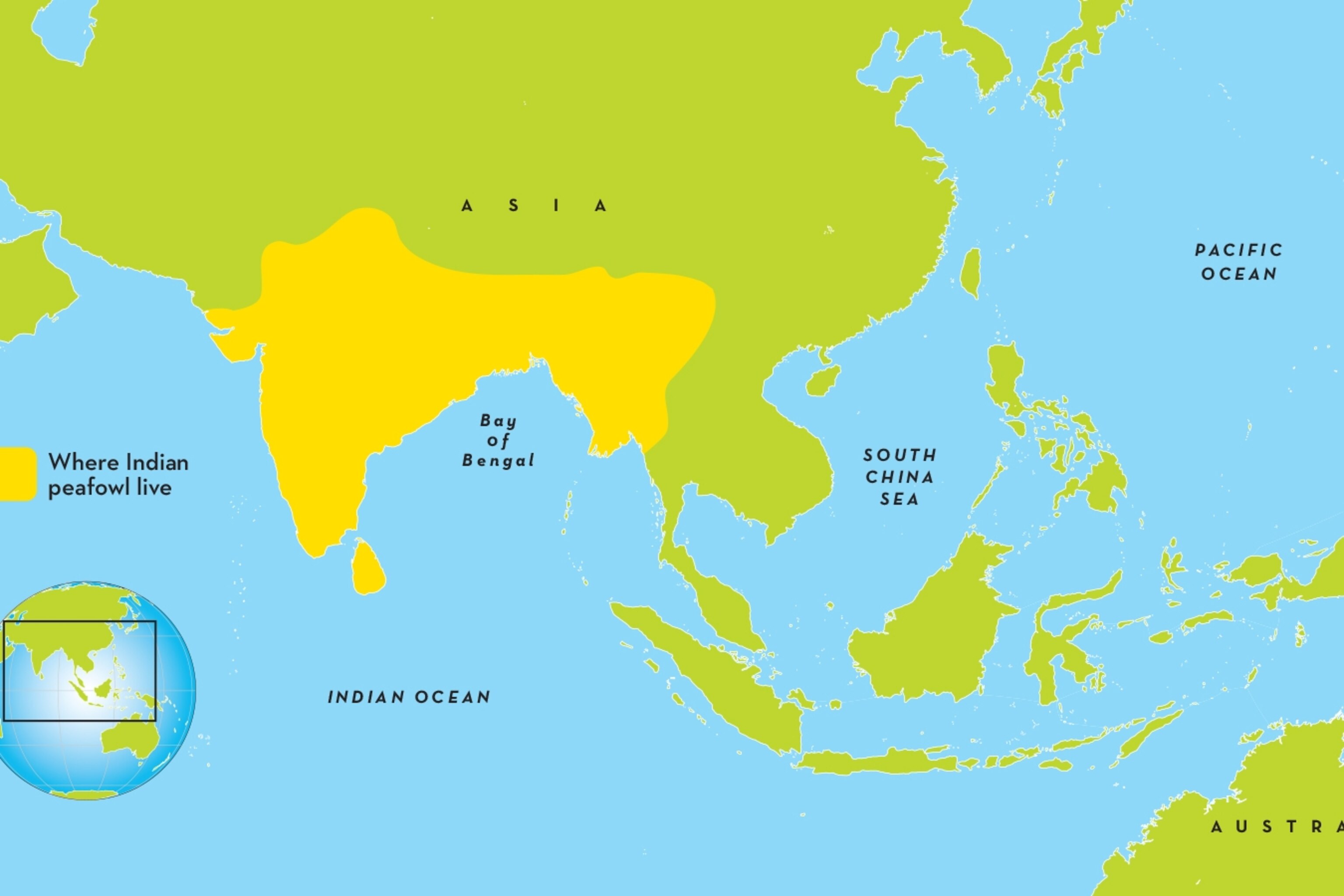 Where Lives The Simple Map Of India Peacock Comprehensive Assessment