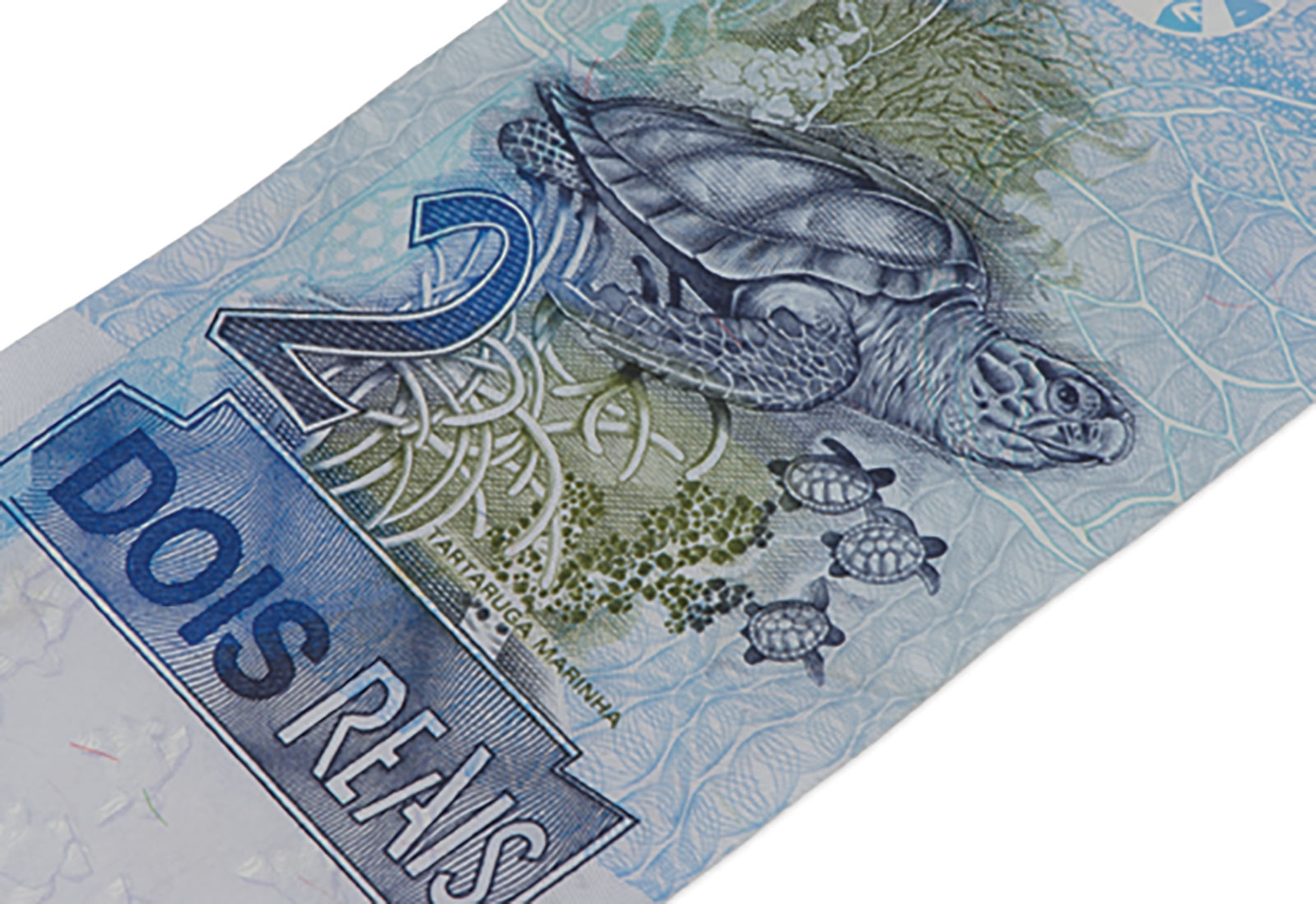Is Brazil Money Called