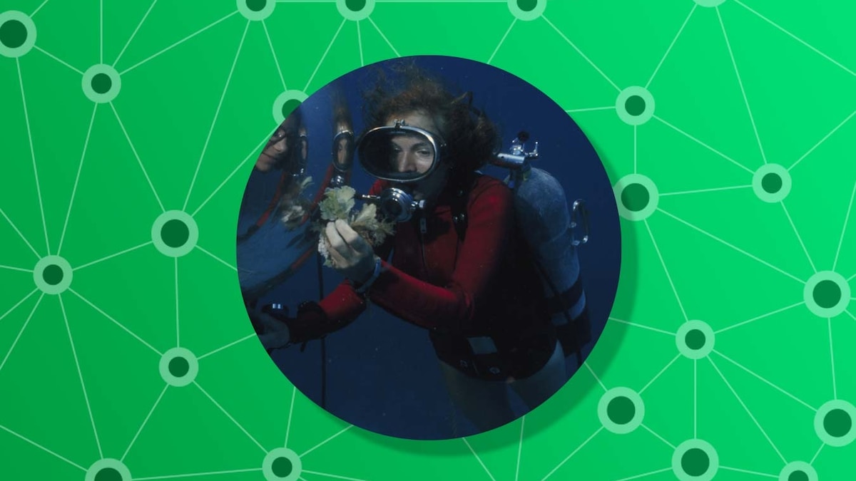 Explorer personality quiz | National Geographic Kids