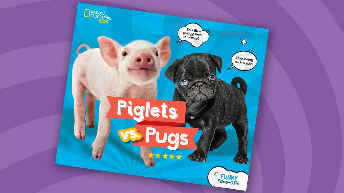 Piglets vs. Pugs
