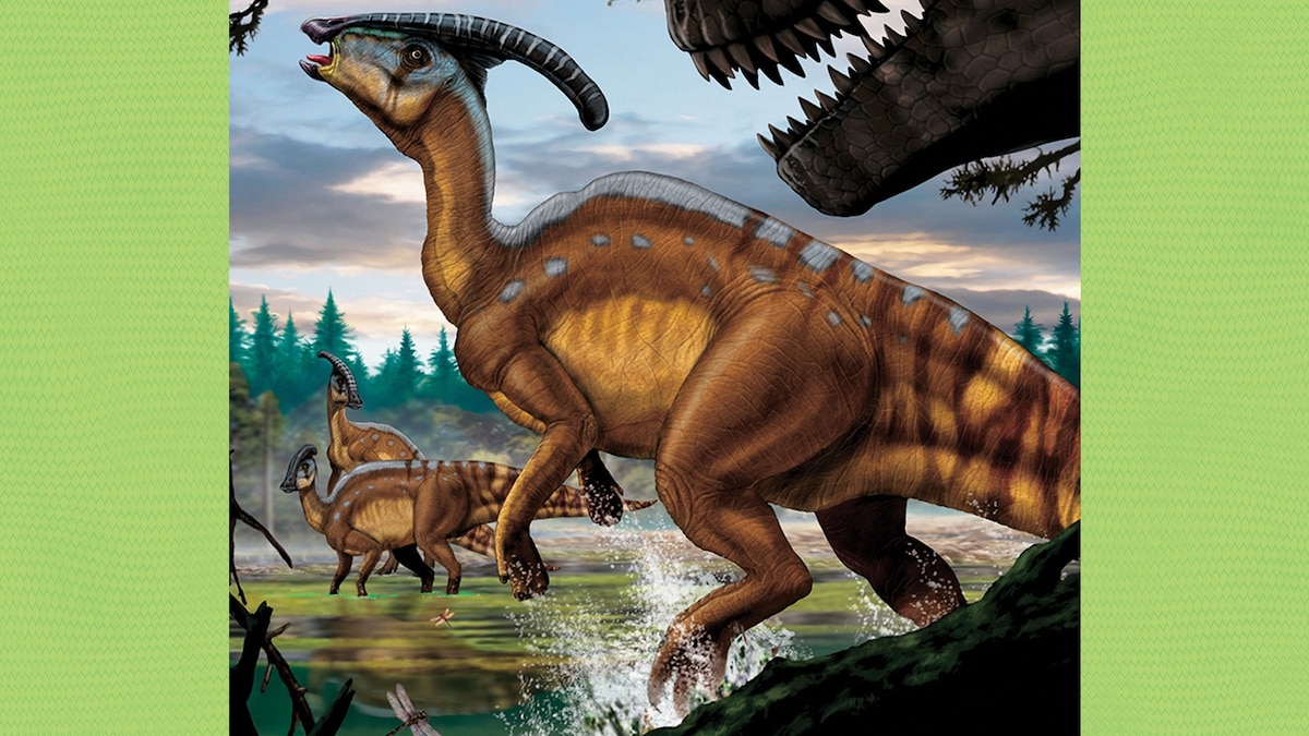 Parasaurolophus | National Geographic Kids