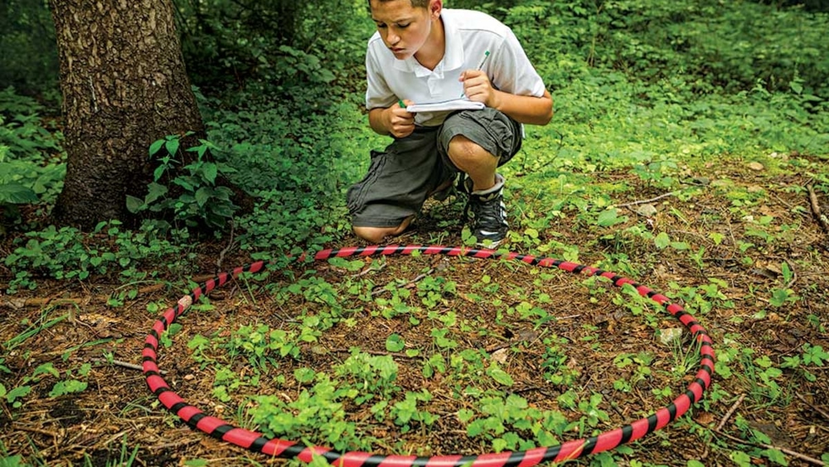 Hula-Hoop Observation | National Geographic Kids