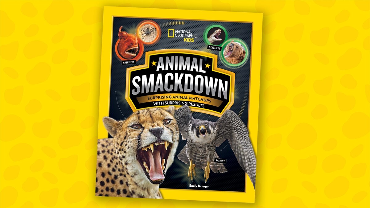 Animal Smackdown