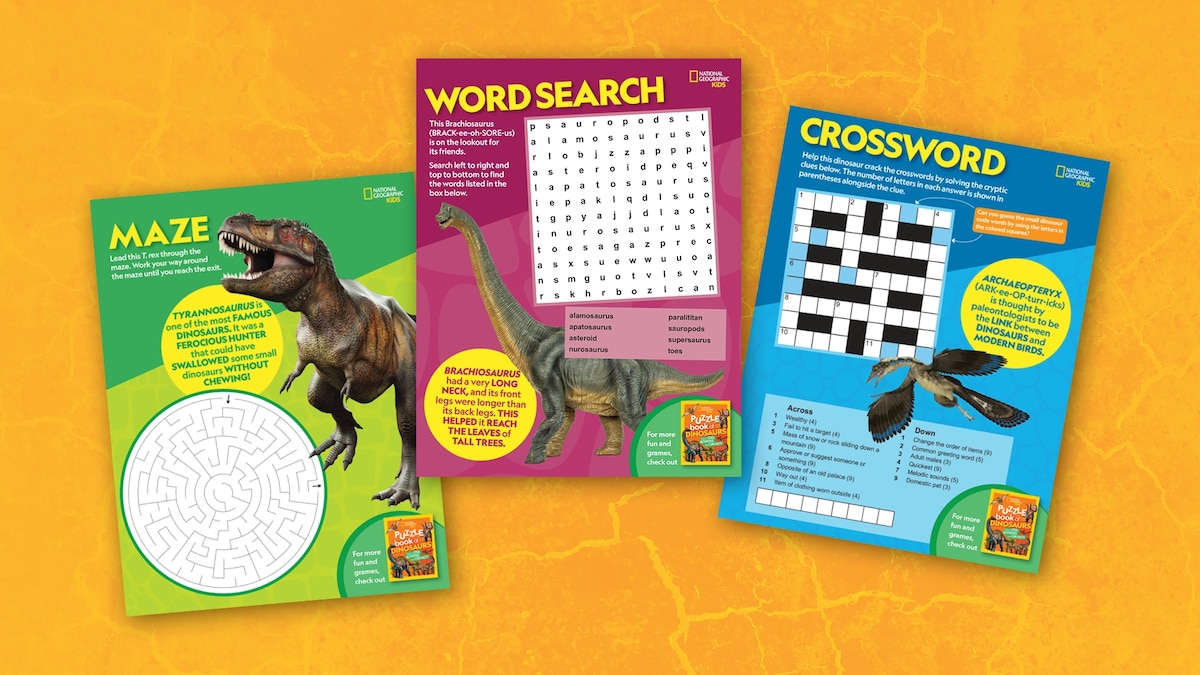 Dinosaur Activities | National Geographic Kids