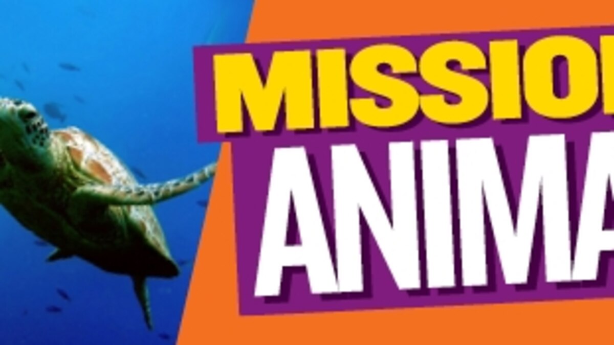 Mission Animal Rescue