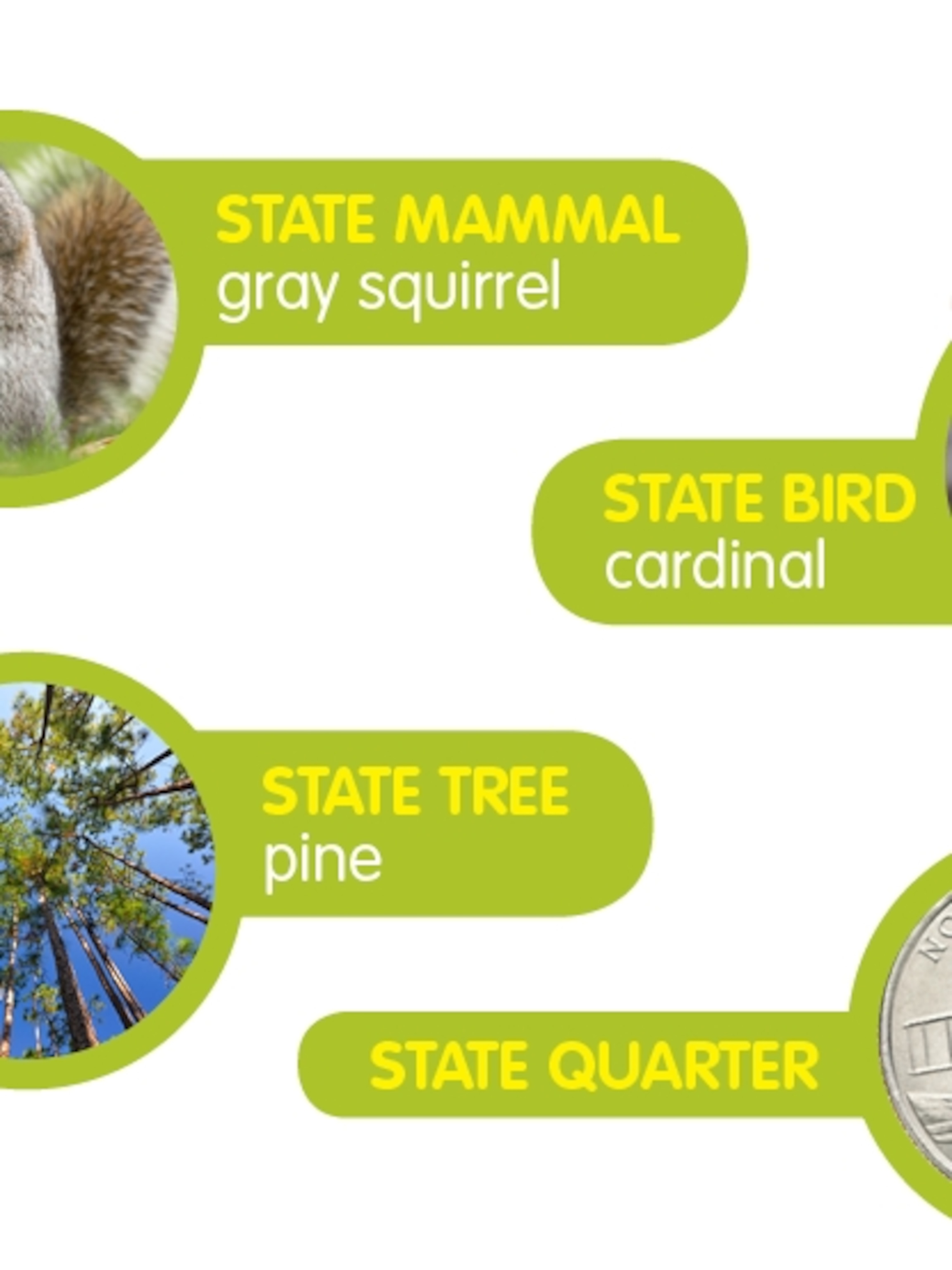 North Carolina Cities Kids Encyclopedia Children39s