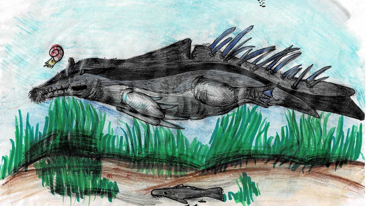 Design-a-Dino contest | National Geographic Kids