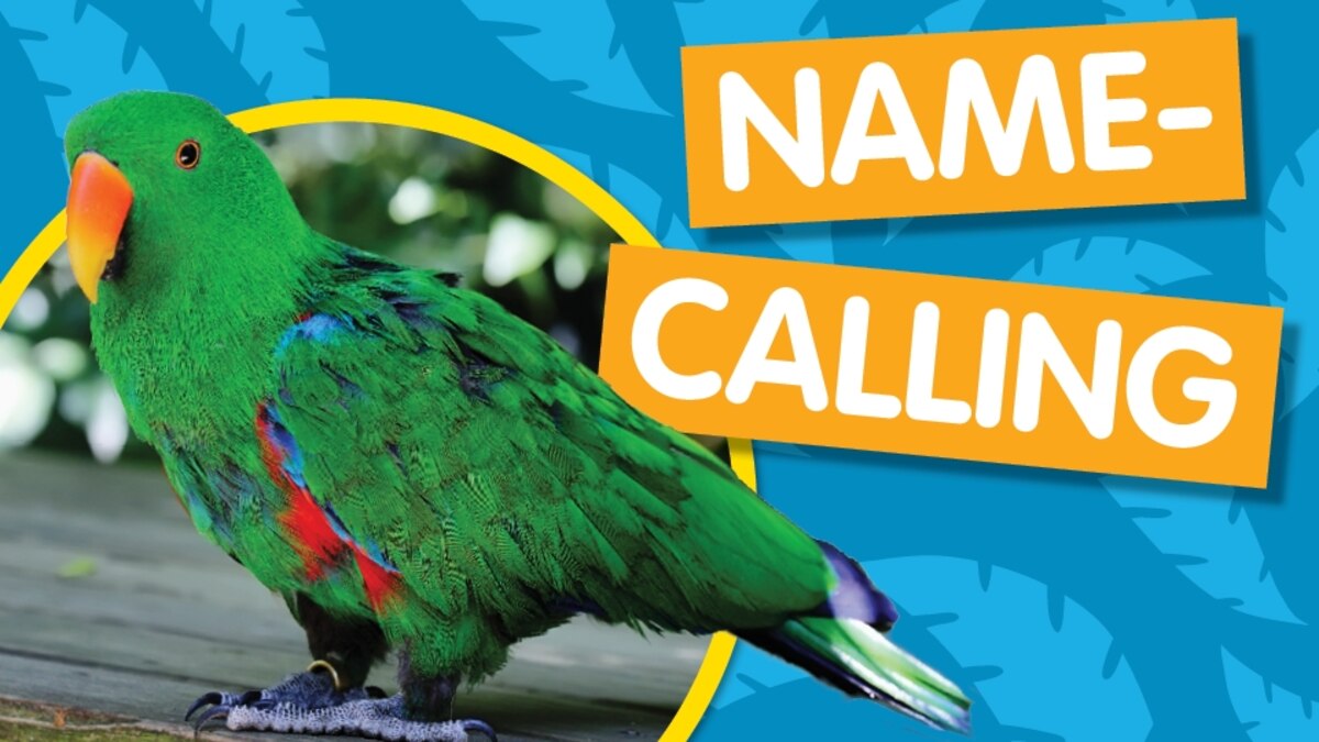 Amazing Animals: Name-Calling