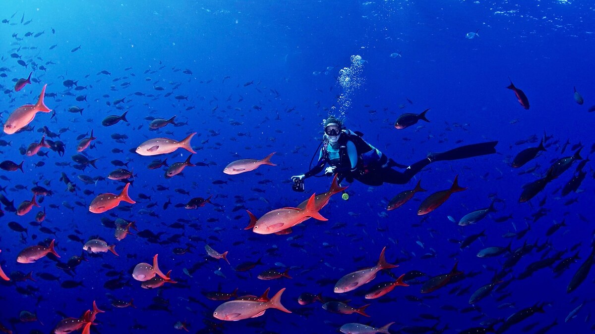 Adventures in Exploration | National Geographic Kids