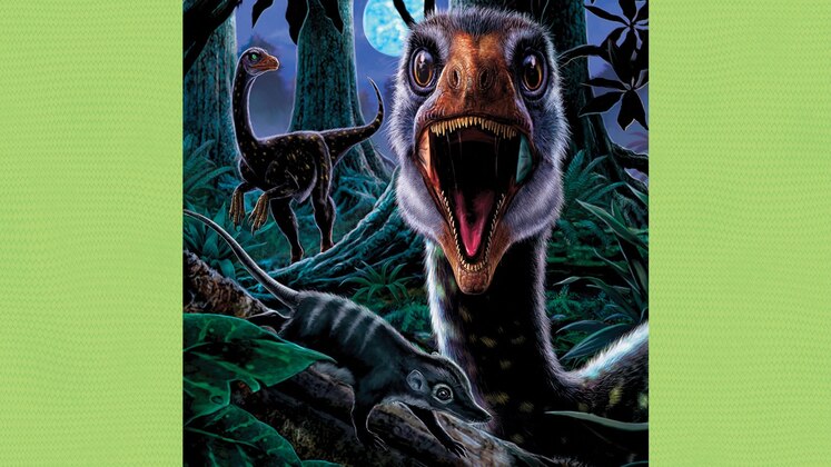 La Révolution Des Dinosaures Troodon Troodon Dinosaurs Jurassic