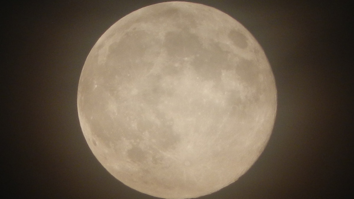 Photo Tips: Shooting the Moon | National Geographic Kids