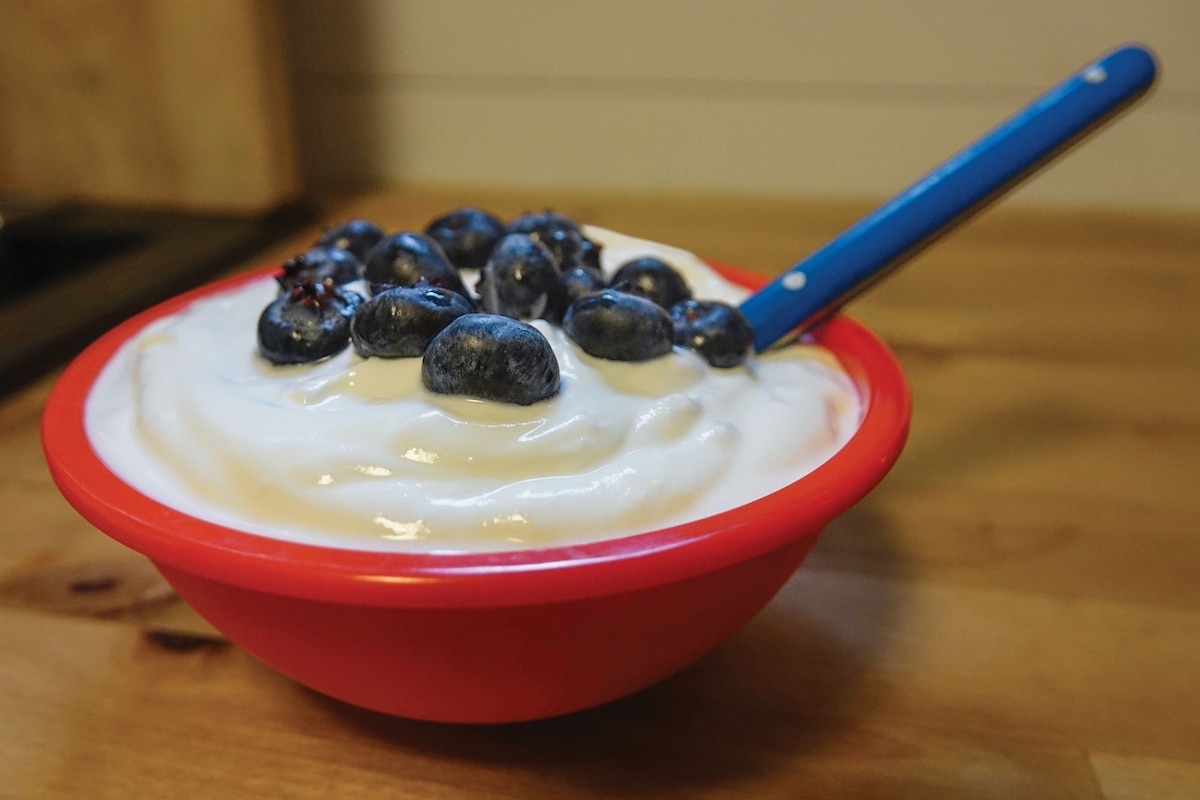 Make Yummy Yogurt