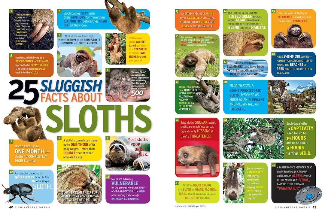 Amazing Fun Facts About Animals