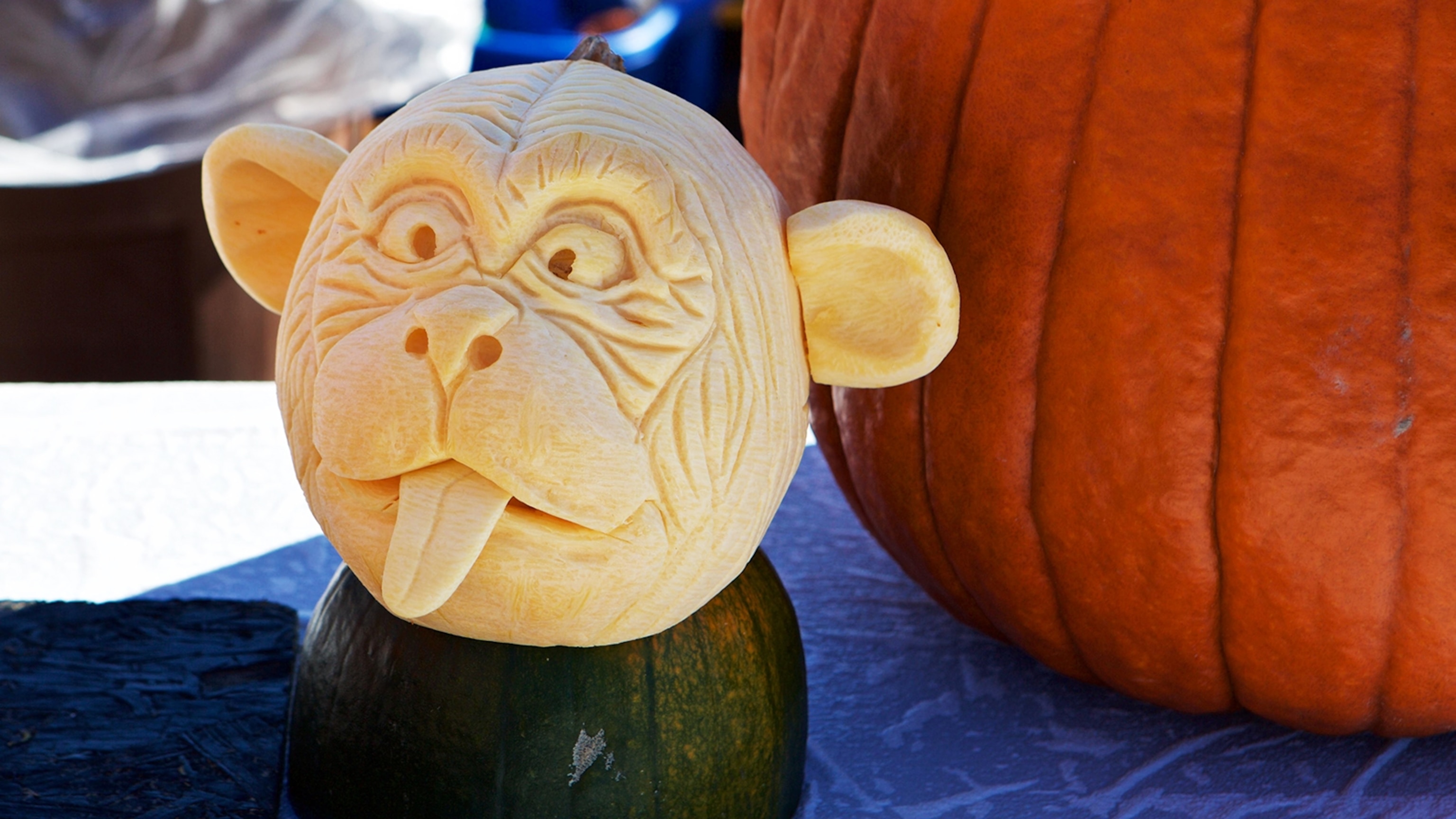 Giraffe Pumpkin Carving Patterns