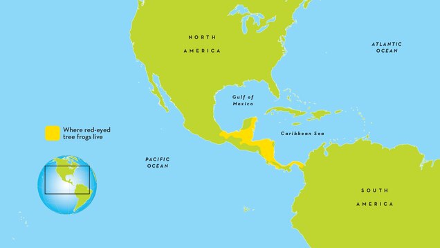 Glass Frog Habitat Map