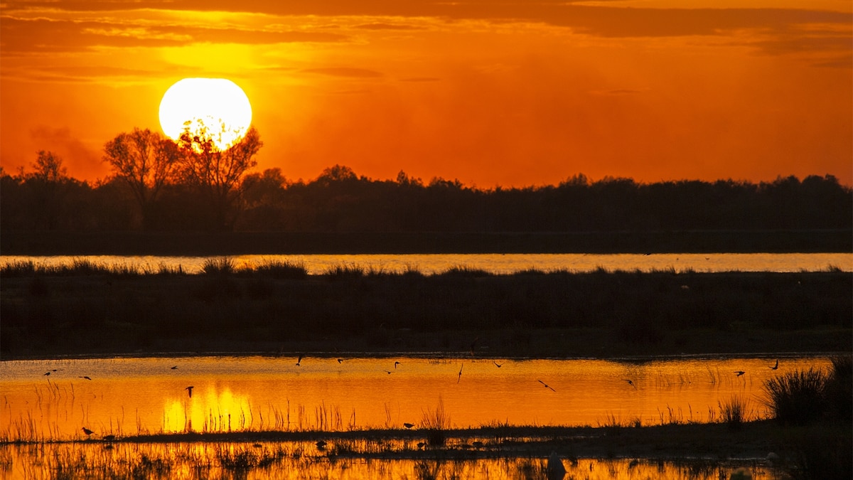 Daylight saving time, explained | National Geographic Kids