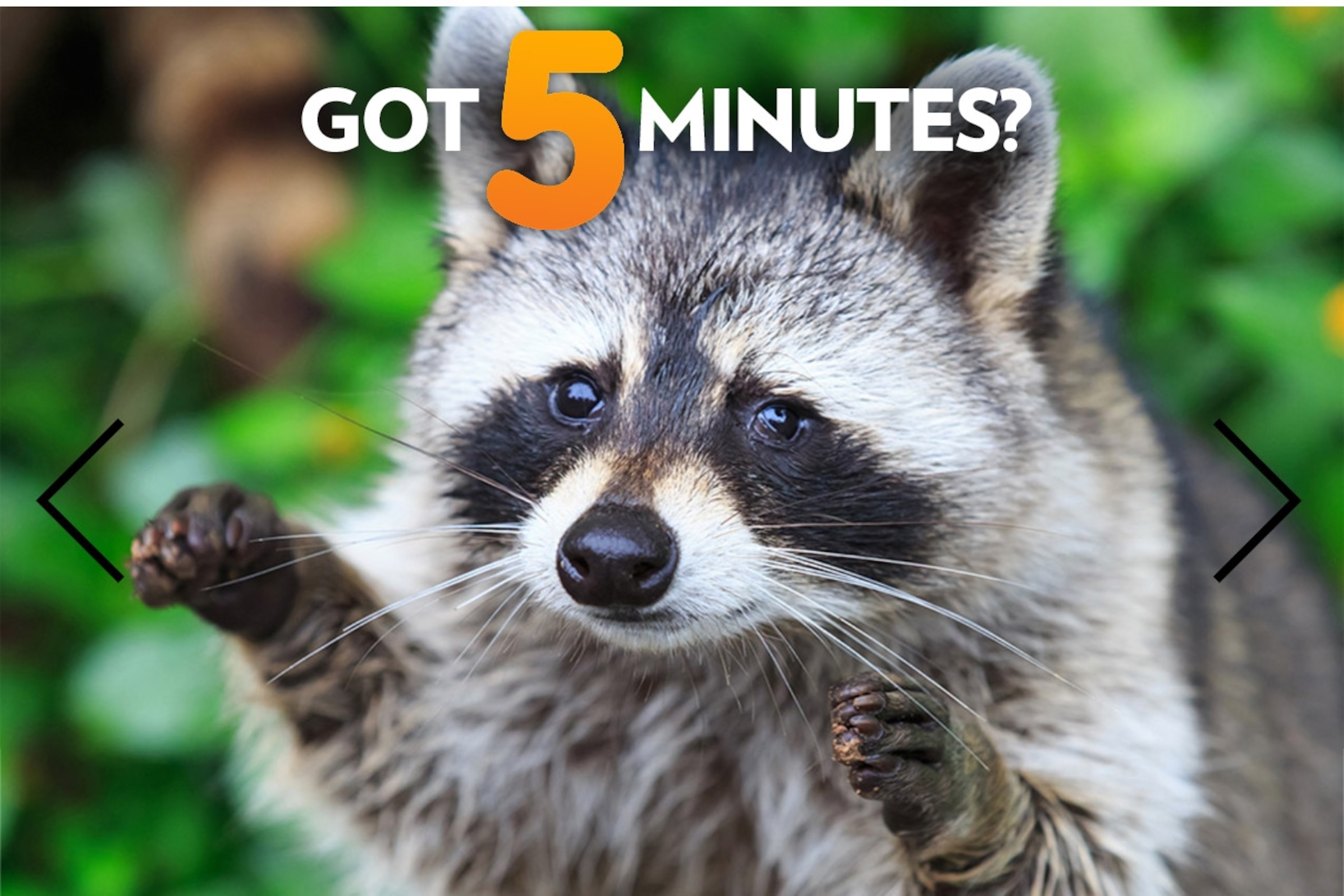 Tips to Get Your Kids Outside