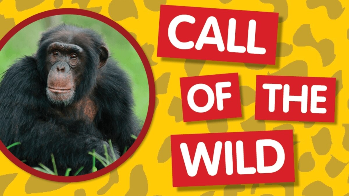 Amazing Animals: Call of the Wild | National Geographic Kids