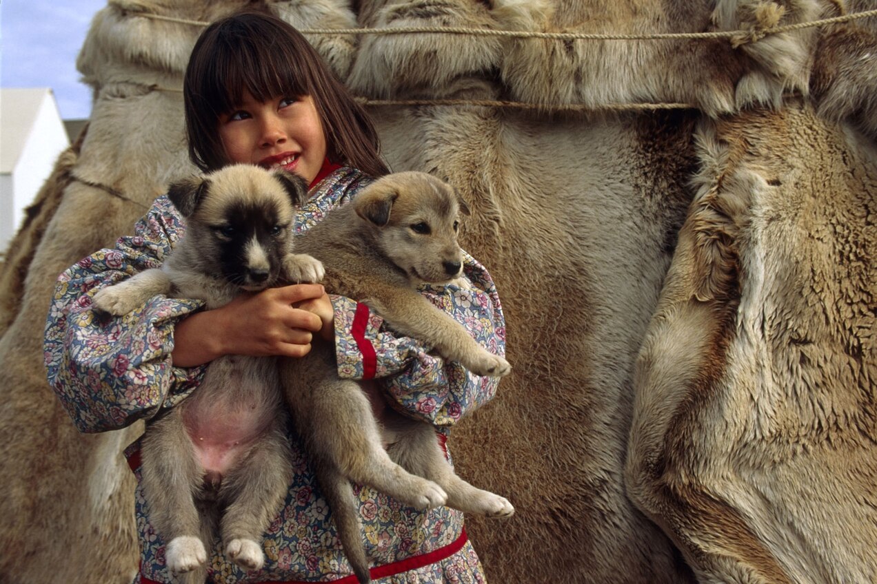 Subarctic Animals