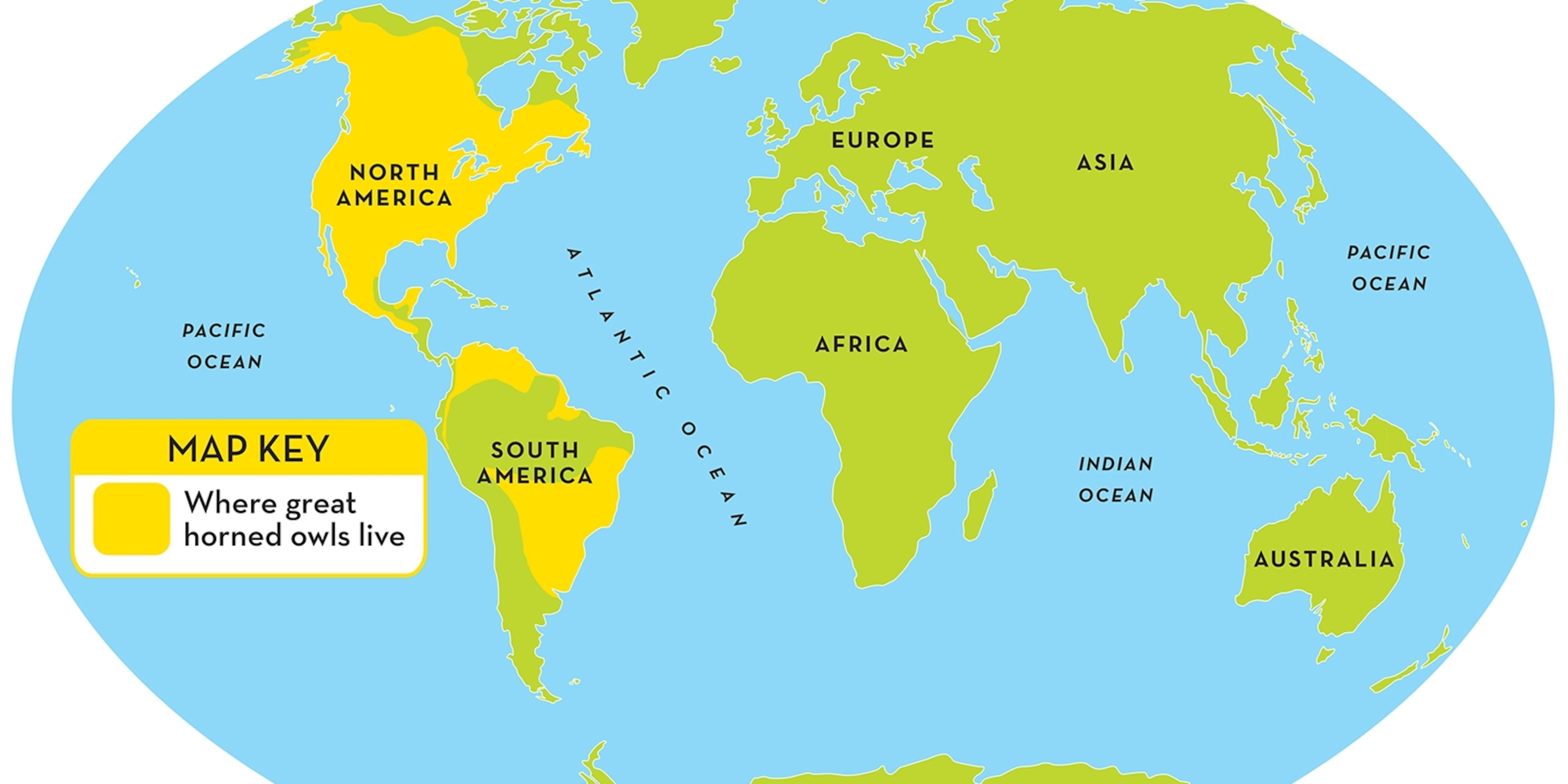 Barn Owls Live Map Of Were The World Barn Owl Honolulu Zoo Society