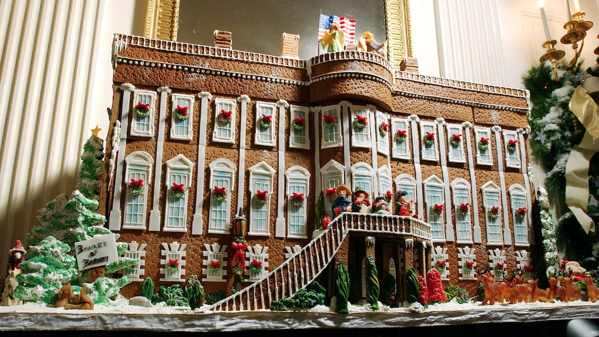 Wacky Weekend: Gingerbread Creations | National Geographic Kids