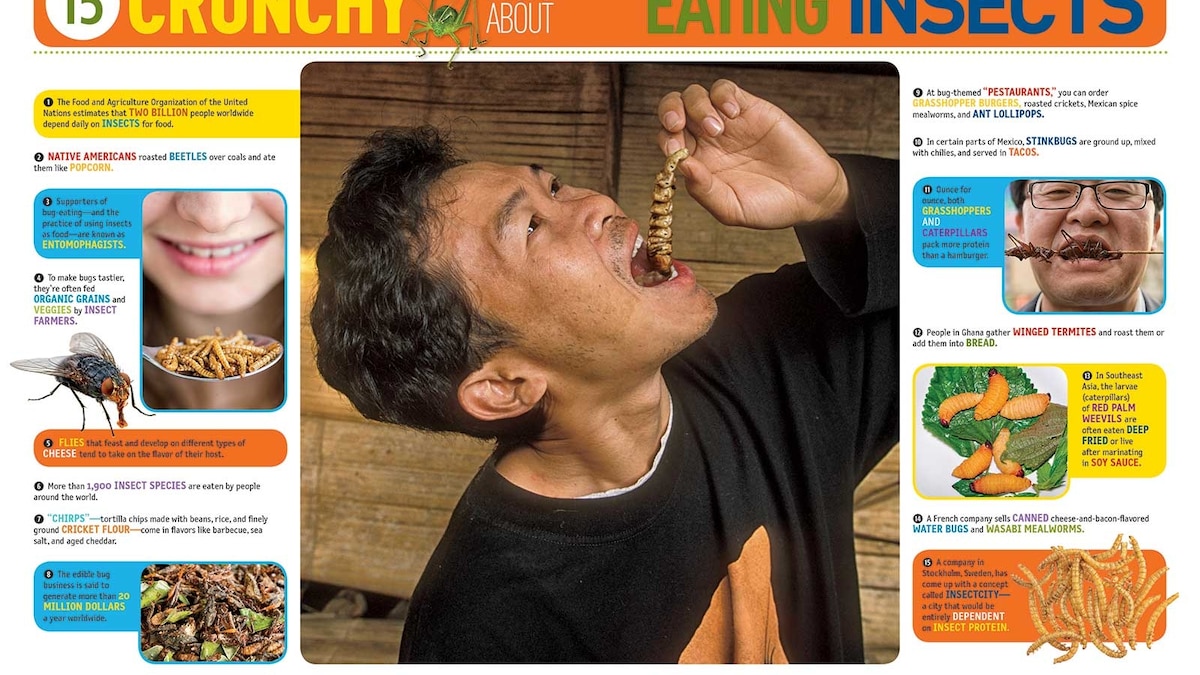 5,000 Awesome Facts | National Geographic Kids