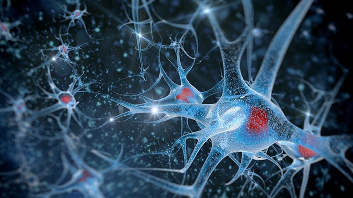 5 reasons why your brain is mind-blowing | National Geographic Kids