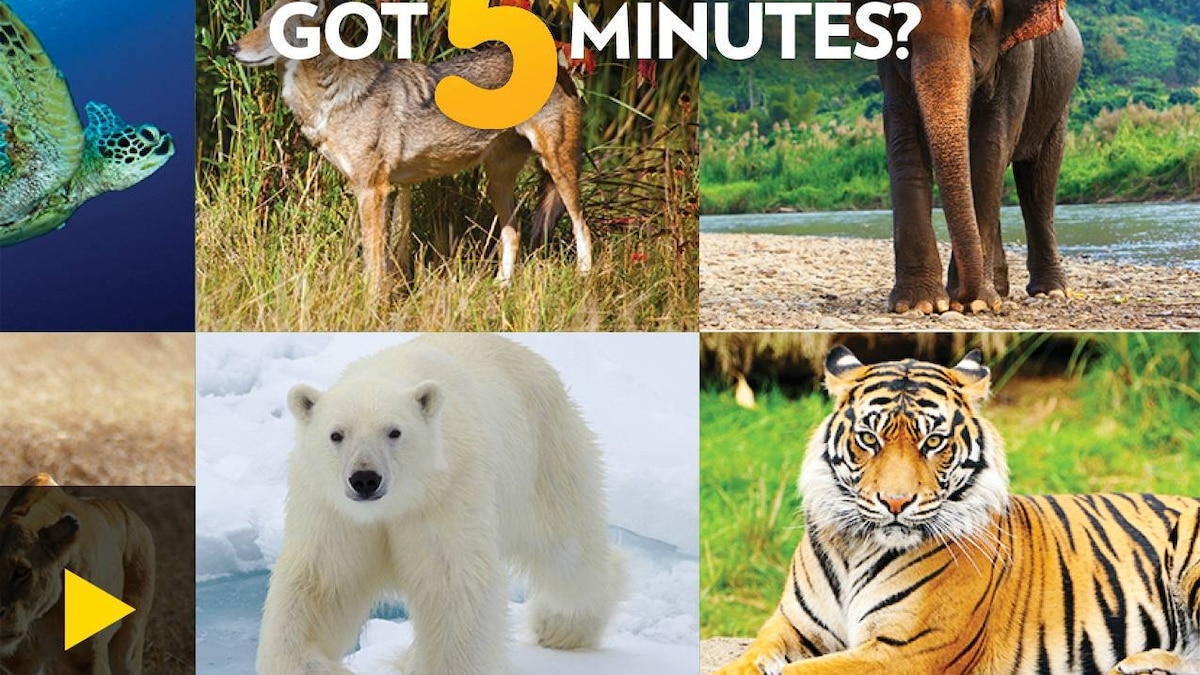 6 Save-the-Earth Tips to Share With Kids | National Geographic