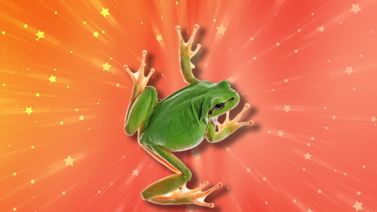 Freaky frogs quiz | National Geographic Kids