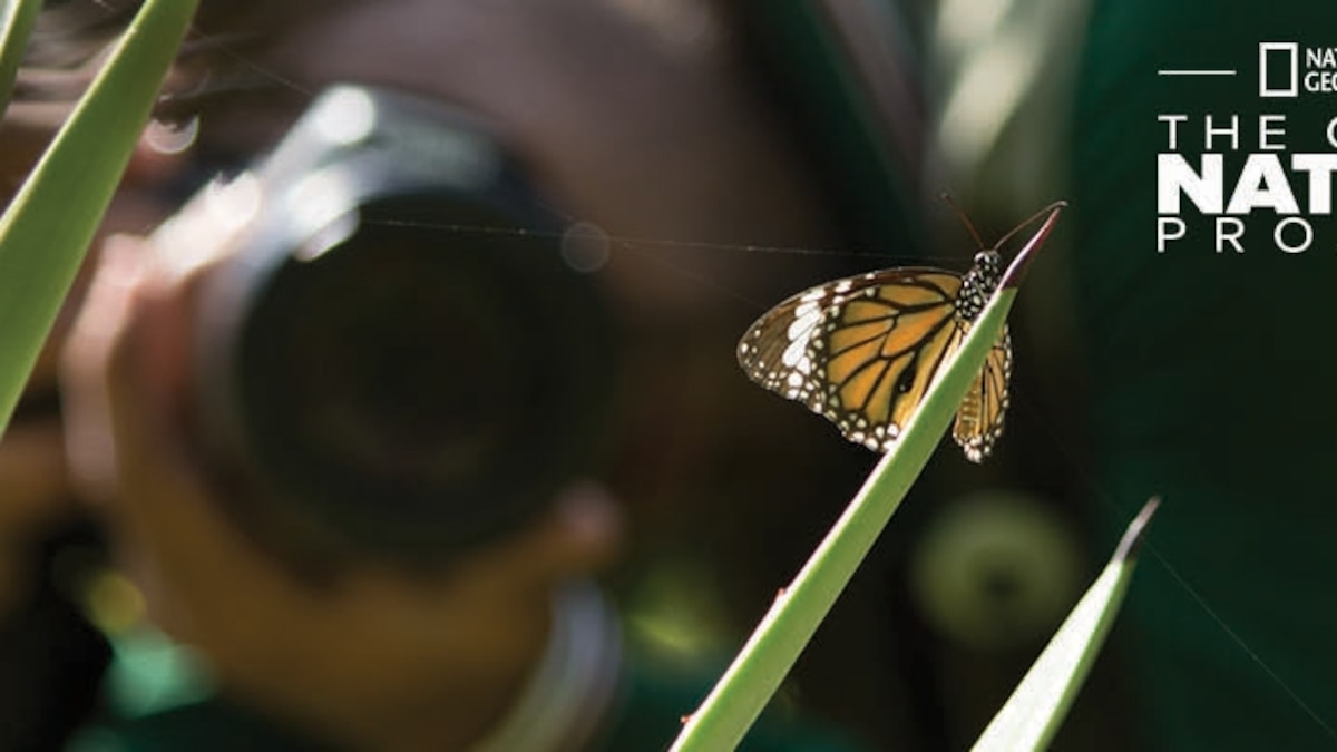 Great Nature Project | National Geographic Kids