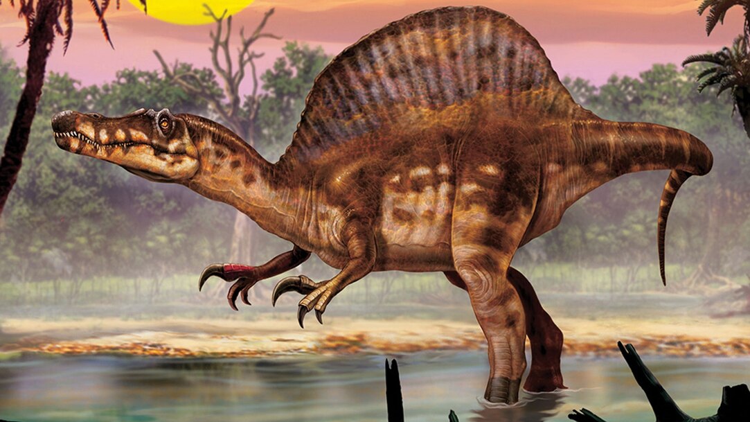 Dinosaurs Spinosaurus