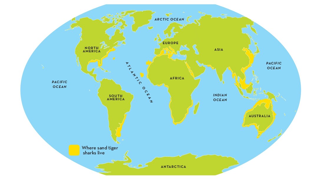 Earth Map Of Where Tigers Live