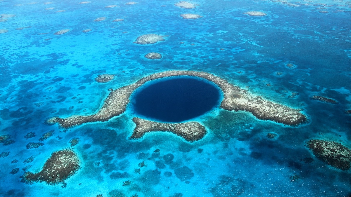 Wacky Weekend: Strange Nature | National Geographic Kids